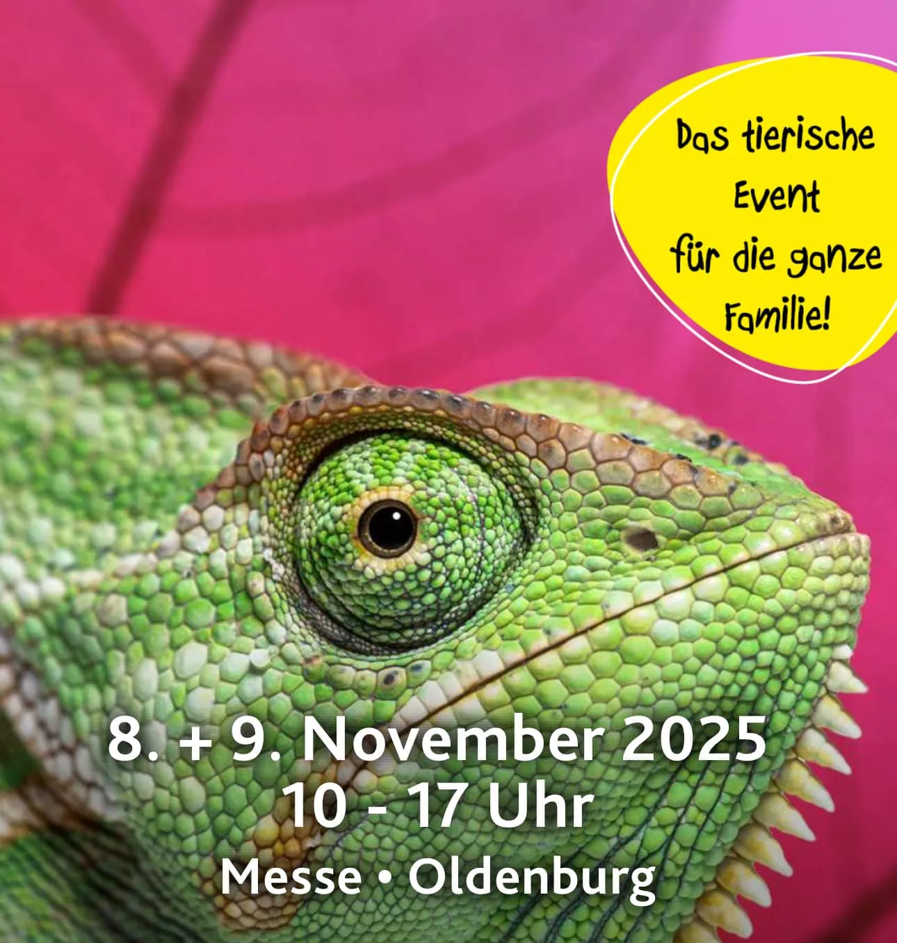 Mein Tier Messe 2026 🐕‍🦺🐈🐇 - Tierheim Oldenburg